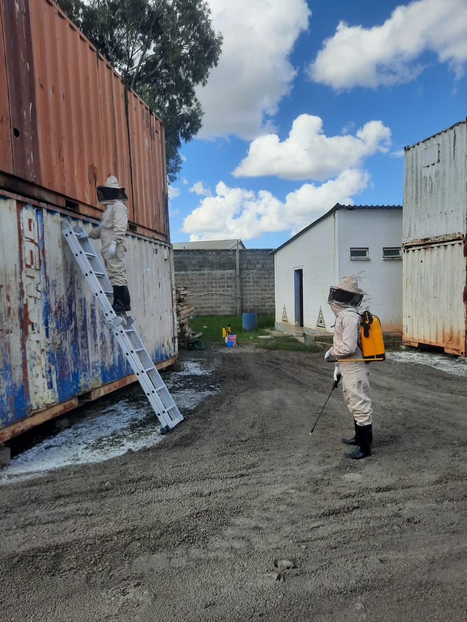 Bee's Control Services in Nairobi - GM Fumigation & Pest Control ...